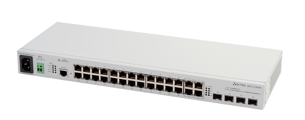 Ethernet Access Switch MES1124MB - Infrasol Pakistan